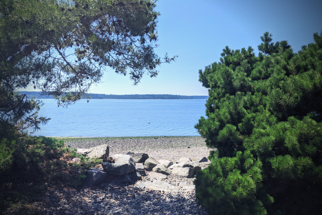 Scuba Diving Fox Island West Wall: Dive Site Review - Scuba Scribbles