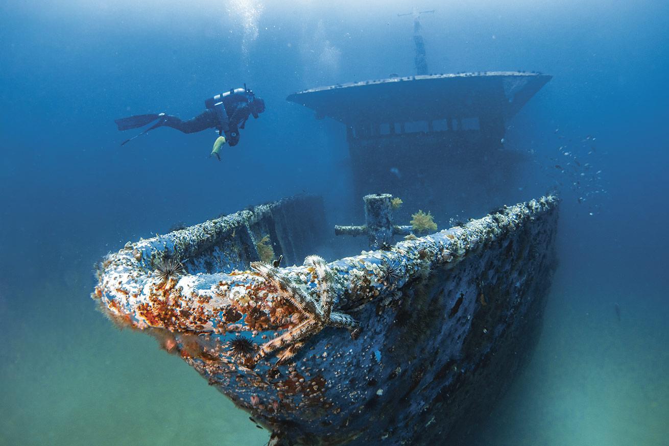 Ultimate Guide to Diving the Florida Panhandle - Scuba Scribbles