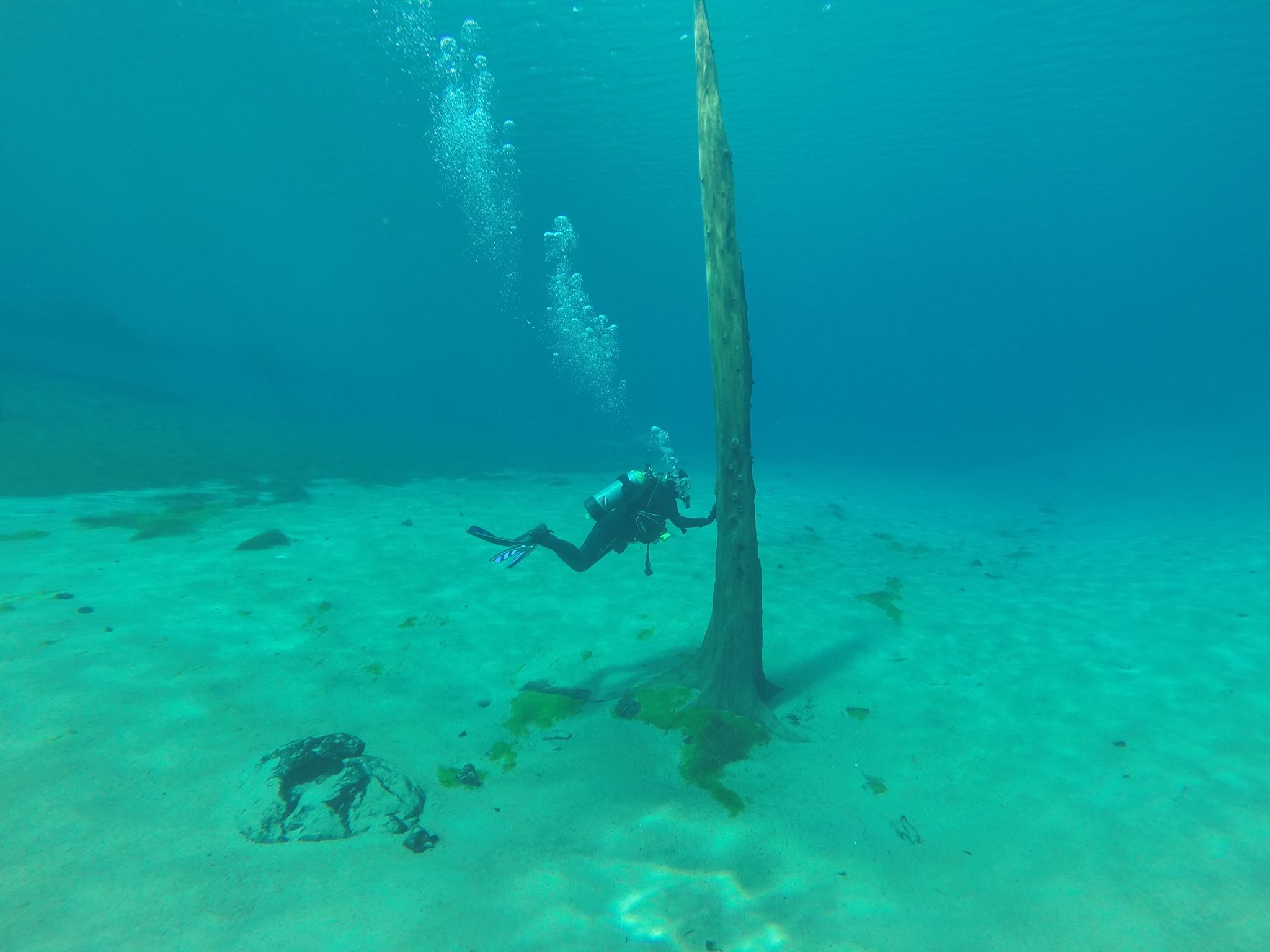 Scuba Diving Clear Lake, Oregon - Scuba Scribbles