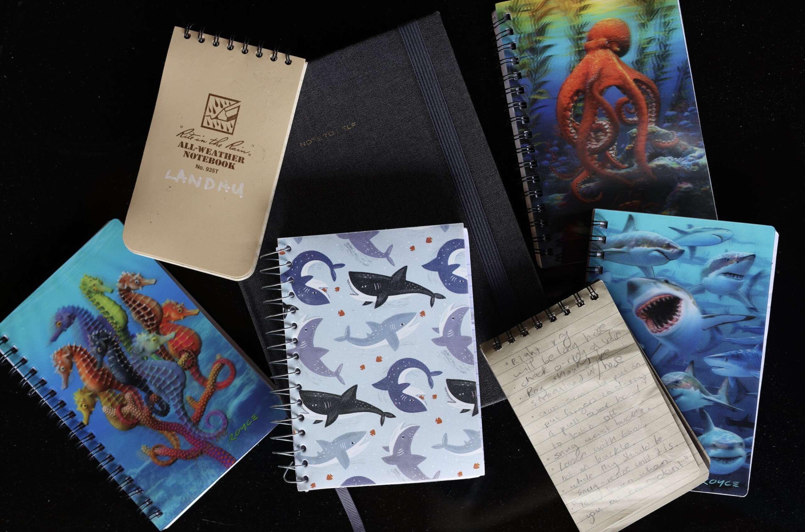 Keeping a Log Book: Your Essential Tool for Writing Compelling Travel ...